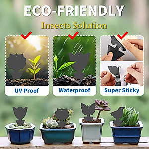 Fruit Fly Traps for Indoors,20pcs Yellow Sticky Fly Traps,Gnat Traps,Bugs Catcher for House Outdoor, Bonus 4 Fly Paper Tubes Home Office (Black)