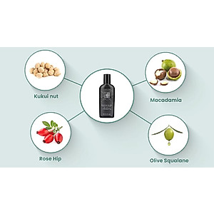 Absolutely Natural - Platinum Dark Tanning Oil - Organic Suntan Lotion with Bronzer for Outdoors & Massages - Rose Hips & Aloe - 6 Oz