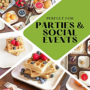 Shy Leaf Disposable Bamboo Plates (60 PLATES) + 120 Piece Wooden Cutlery Set - 8 inch & 10 inch Palm Leaf Plates - Party Plates - 100% Biodegradable & Eco Friendly Compostable Plate Set