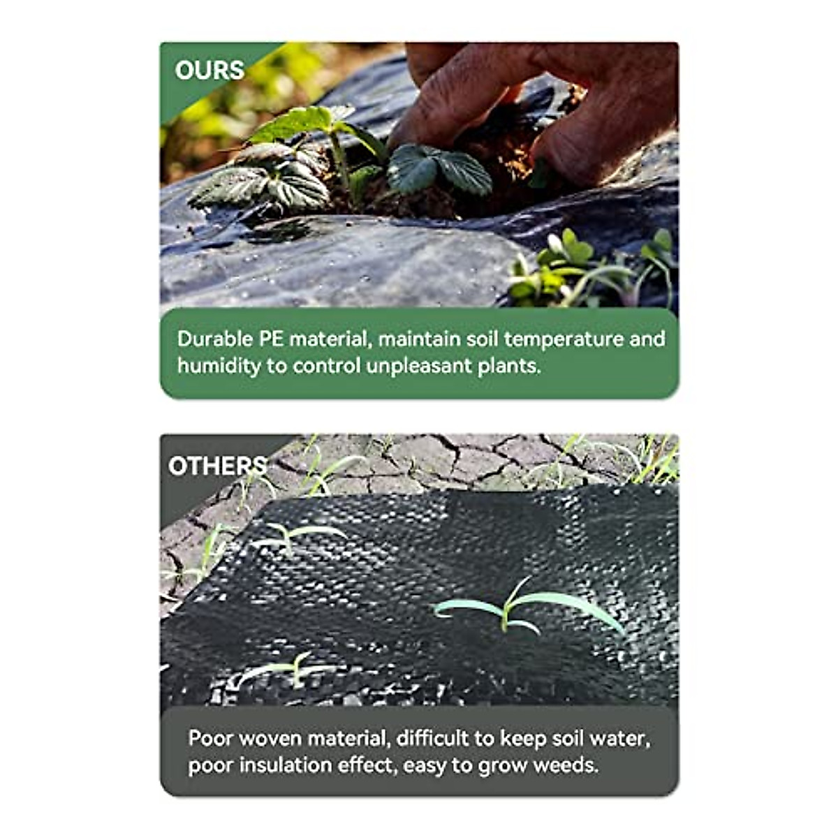 2 Pack 33 x 3 Feet Black Embossed Plastic Film with Planting Holes- 1 Mil Garden Weed Control Barrier Film Mulching Breathable Gardening Farming Landscape Sheeting for Moisture Temperature Maintaining