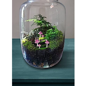 coonoe Mini Mushrooms for Fairy Garden, Translucent Fairy Garden Mushrooms with Stakes for Terrarium, Potted Plant, Mini Mushroom Garden Decor, Crafted Cute Tiny Fairy Garden Accessories