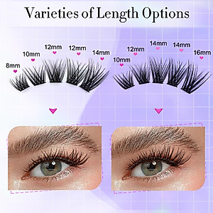 Lash Clusters C D Curl Individual Cluster Lashes 77pcs Cluster Eyelash Extensions Mix Length DIY Lash Extensions Natural Wispy Eyelash Clusters by MERETON (Mix 8-16mm C Curl, Natural, Angle)