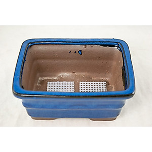 6" Rectangular Blue Bonsai/Succulent Pot + Soil + Tray + Rock + Mesh Kit