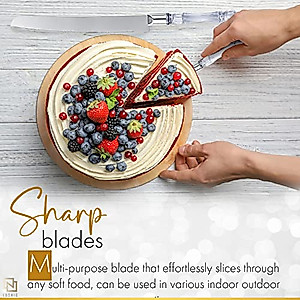 LUSHIG Cake Knife and Server Set | Acrylic Faux Crystal Handles & Premium 420 Stainless Steel Blades | Cake Cutting Set for Wedding Cake, Birthdays, Anniversaries, Parties