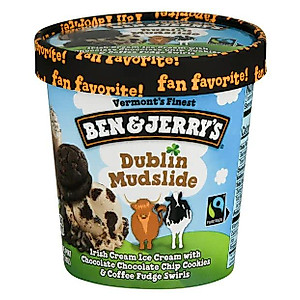 Ben & Jerry's Dublin Mudslide Ice Cream Pint (Pack of 8)