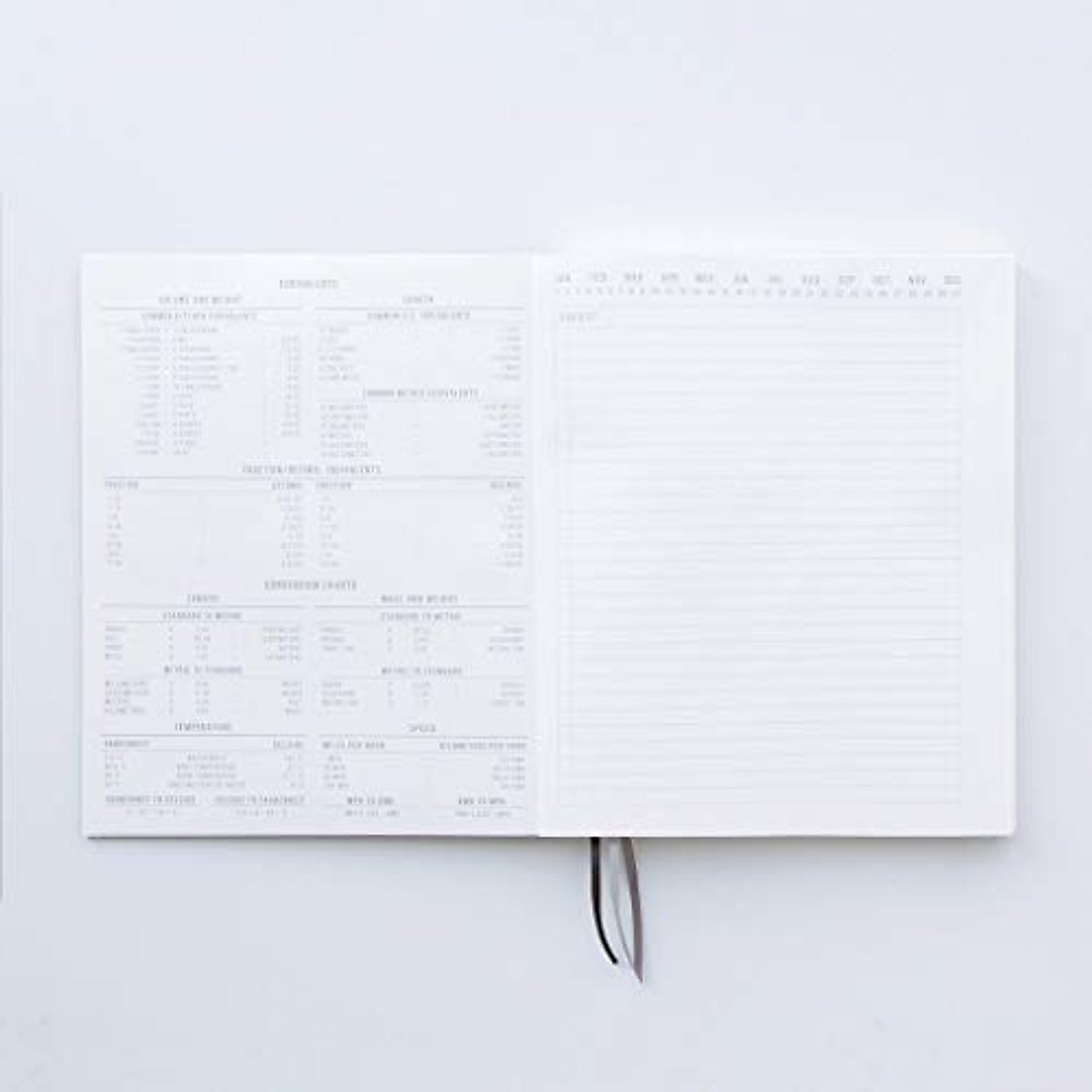 DesignWorks Ink Standard Issue Pink Planner Notebook No. 3 Journal with Lined Pages, Elastic Closure, Pen Holder, and 3 Ribbon Marker for Work, Writing, Journaling, 6.75" x 8.5"