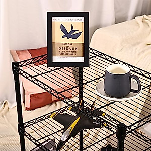 Elevon 3-Shelf Adjustable, Heavy Duty Storage Shelving Unit (350 lbs Loading Capacity per Shelf), Steel Organizer Wire Rack, Black (23.2" L x 13.4" W x 30.3" H)