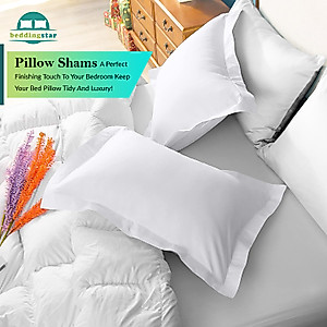 Queen Pillow Shams Set Of 2 PC 100% Egyptian Cotton White Pillow Shams Queen Size 20x30 Pillow Cases 600 Thread Count Soft Skin Friendly Cushion Cover Decorative Queen Size Bed Pillow Covers Set