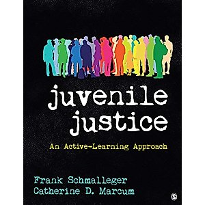 Juvenile Justice: An Active-Learning Approach