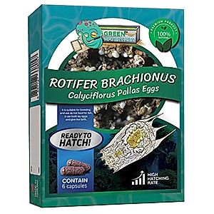 GREEN WATER FARM Rotifers Brachionus calyciflorus Pallas Eggs Live Fish Food for Hatching and Culture Suitable for Feed Betta Fish