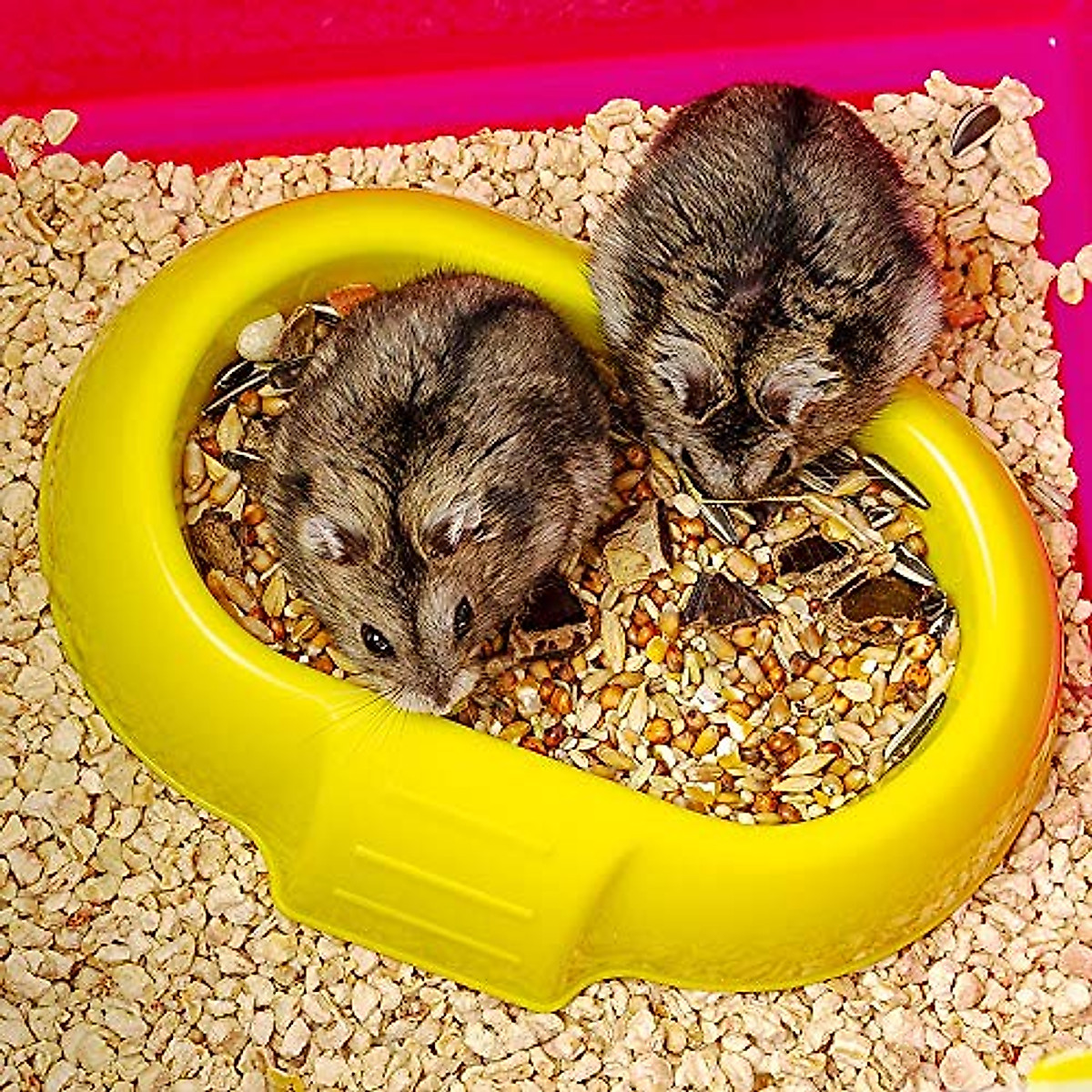 Ferplast Laura Small Hamster Cage | Fun & Interactive Cage Measures 18.11L x 11.61W x 14.8H & Includes All Accessories