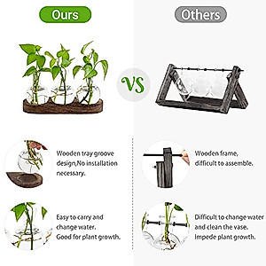 Mkono Desktop Plant Propagation Station Glass Planter Terrarium with Wooden Tray Bulb Flower Vase Perfect for Propagating Hydroponic Plants Home Office Decor Plant Lover Gift Idea