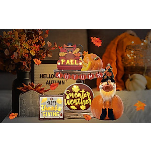 Thanksgiving Tiered Tray Decorations, LED Light Up Thanksgiving Decorations Farmhouse Rustic Wooden Sign Turkey Gnome Fall Decor Warm Thanksgiving Autumn Home Table Kitchen Decorative Tray