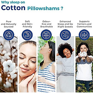 Hriksh Travel Pillow Case 12x18 Size Pack of 2 Pieces 100% Egyptian Cotton Zipper Closure 500 Thread Count Toddler Pillowcase Fits Up to 12x18, 12x16 or 11x15 White