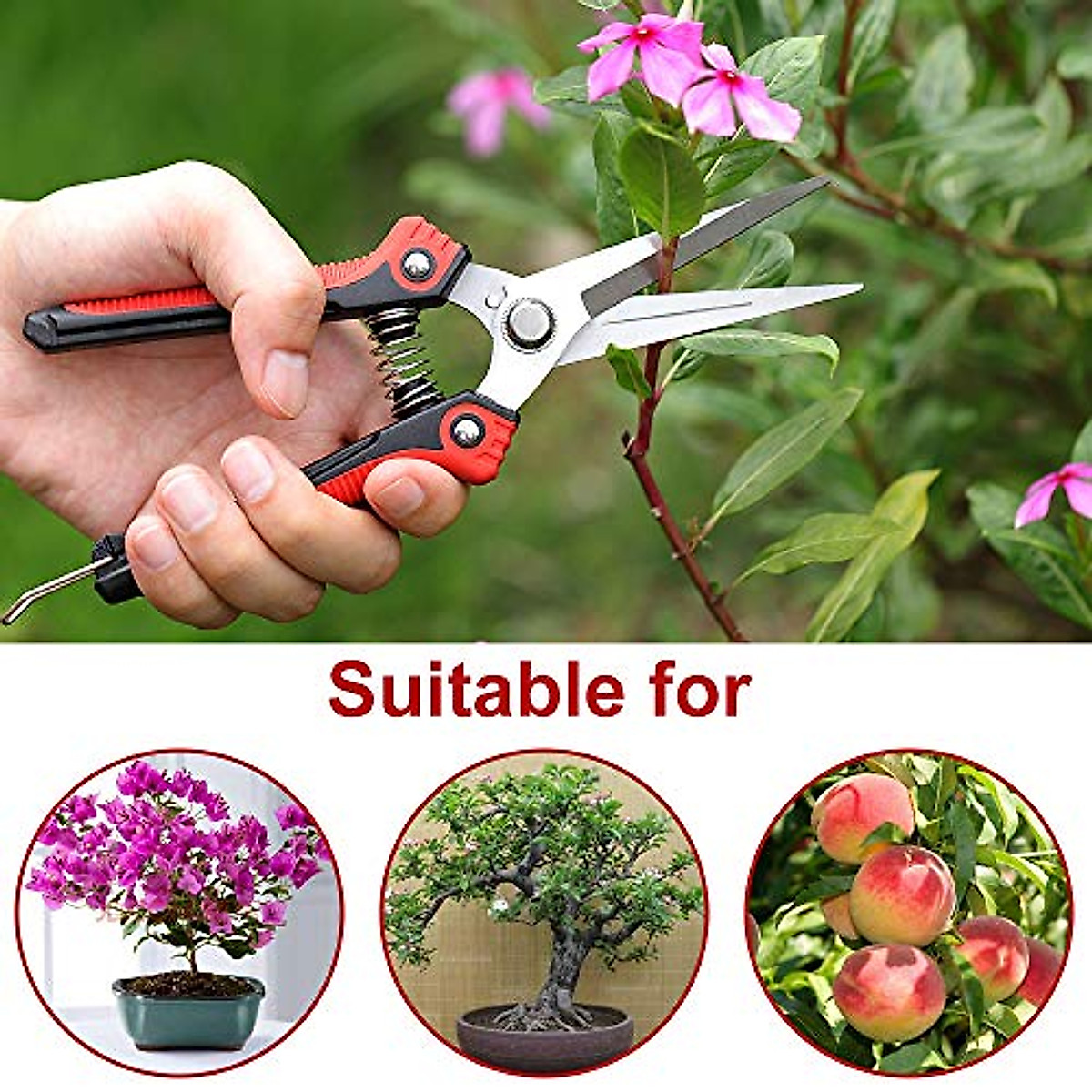 WYF Pruning Scissors, Professional Garden Shears - Straight Stainless Steel Blades - Sharp Gardening Hand Pruner for Garden Harvesting Fruits, Vegetables, Trimming Flowers and Plants, 8.1IN(Red)