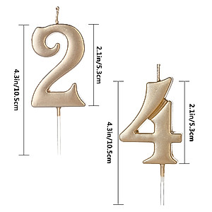 Champagne Gold 24th & 42nd Number Birthday Candles for Cake Topper, Number 42 24 Glitter Premium Candle Party Anniversary Celebration Decoration for Kids Women or Men