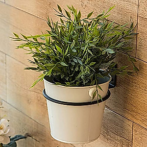 Plant Holder Ring 6 Inch Wall Mounted, 6 Pack Flower Pot Hangers Metal Plant Stand Hanging Bracket Basket Hooks