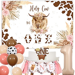 Highland Cow 1st Birthday Decorations Girl - Holy Cow Im One Backdrop, Highland Cattle High Chair Banner, Cake Topper, Foil Balloons for Pink Boho Floral Highland Cow Farm Animal Party Supplies