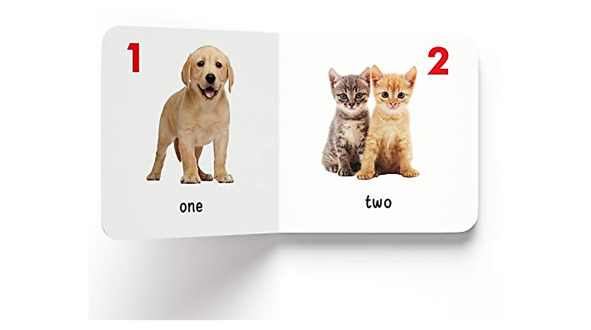 My First Library: 10 Engaging Board Books for Kids