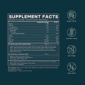 Ora Organic Work It: Ultra Clean Plant-Based Protein Powder Optimized for Recovery and Performance - with Tart Cherry, ProHydrolase, and Probiotics - 15 Servings (Chocolate, 15)