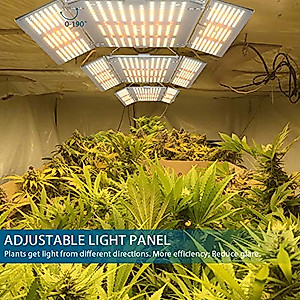 Barrina BU 2000 LED Grow Light, Full Spectrum with IR, 4x4FT Coverage, Dimmable, Adjustable Light Panel, 816 LEDs, High PPFD, Plant Grow Light for Indoor Plants Seedling Growing Flowering Fruiting