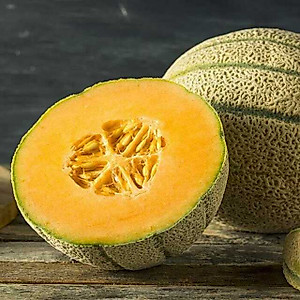 30 Honey Rock Cantaloupe Seeds for Planting Heirloom Non GMO 1+ Gram of Melon Seeds Garden Vegetable Bulk Survival