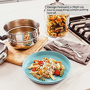 Homestockplus Dinner Plates Wheat Straw Fiber Plate Sets Unbreakable Environment Friendly Plates Microwave Save Dish Washer Safe For Salad Pasta Safe [Set of 8]