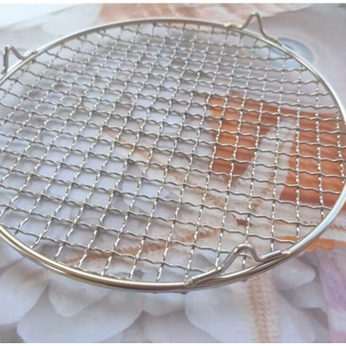Stainless Steel Round Wire Baking Cooling Rack with Legs for Airfryer Oven, Nonstick Cooling Roasting Rack Net Grill Barbecue Rack for Cooling Cookie Bread Cake (250mm/9.8")