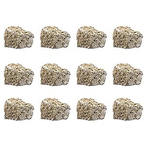 12PK Raw Fossiliferous Limestone, Sedimentary Rock Specimens - Approx. 1" - Geologist Selected & Hand Processed - Great for Science Classrooms - Class Pack - Eisco Labs