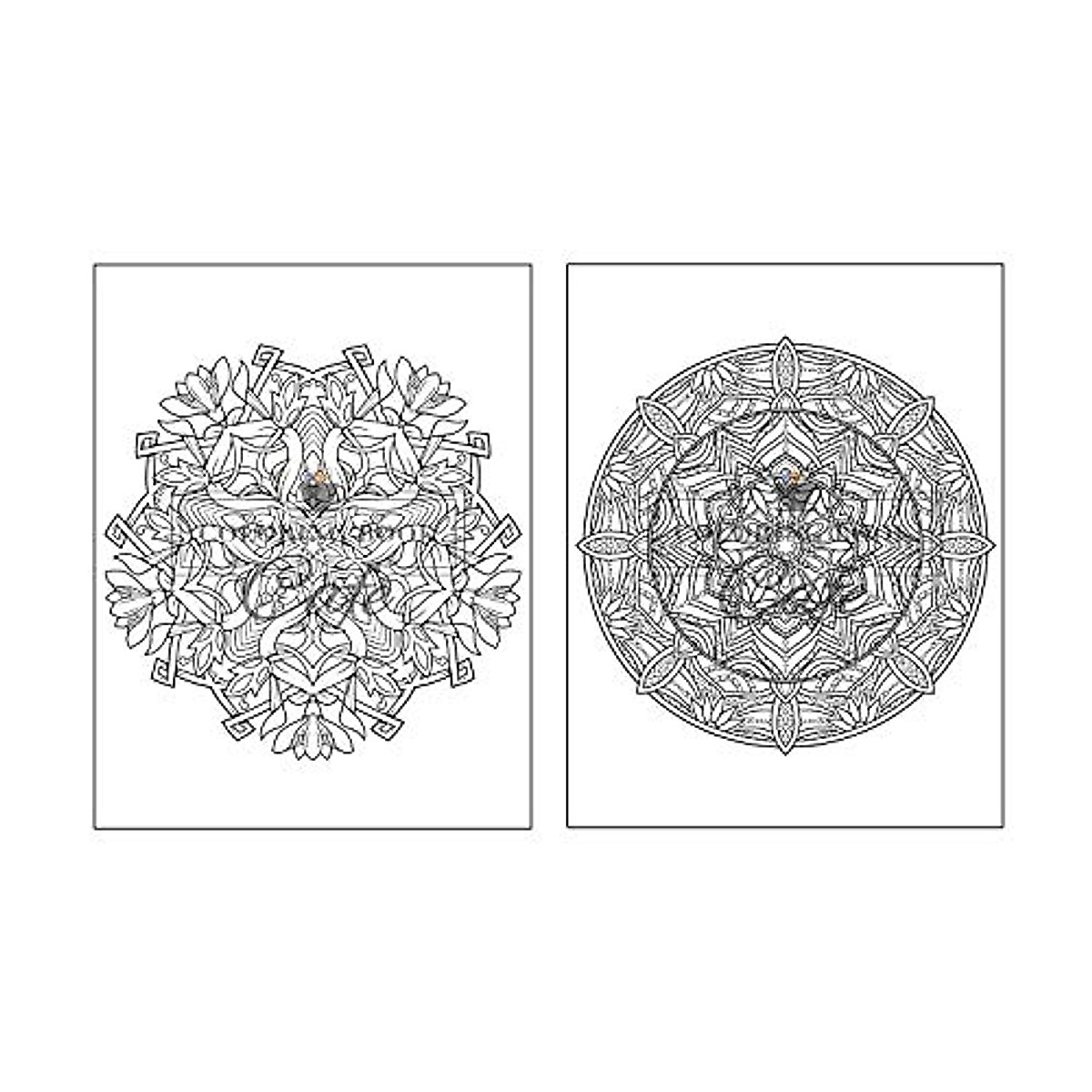 125 Mandalas: An Adult Coloring Book Featuring 125 of the World’s Most Beautiful Mandalas for Stress Relief and Relaxation (Mandala Coloring Books)