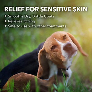 Vet's Best Hypo-Allergenic Shampoo for Dogs | Dog Shampoo for Sensitive Skin | Relieves Discomfort from Dry, Itchy Skin | Cleans, Moisturizes, and Conditions Skin and Coat