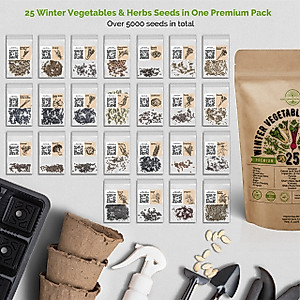 Organo Republic 25 Winter Vegetable & Herb Garden Seeds Variety Pack for Outdoors & Indoor Home Gardening 5000+ Non-GMO Heirloom Seeds Broccoli Beet Carrot Cabbage Radish Pea Mint Thyme Parsley