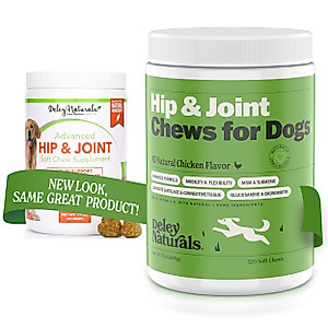 Deley Naturals Probiotics + Hip & Joint for Dogs, 2 x 120 Grain Free Chicken Soft Chews, Made in USA Dog Treats, Natural