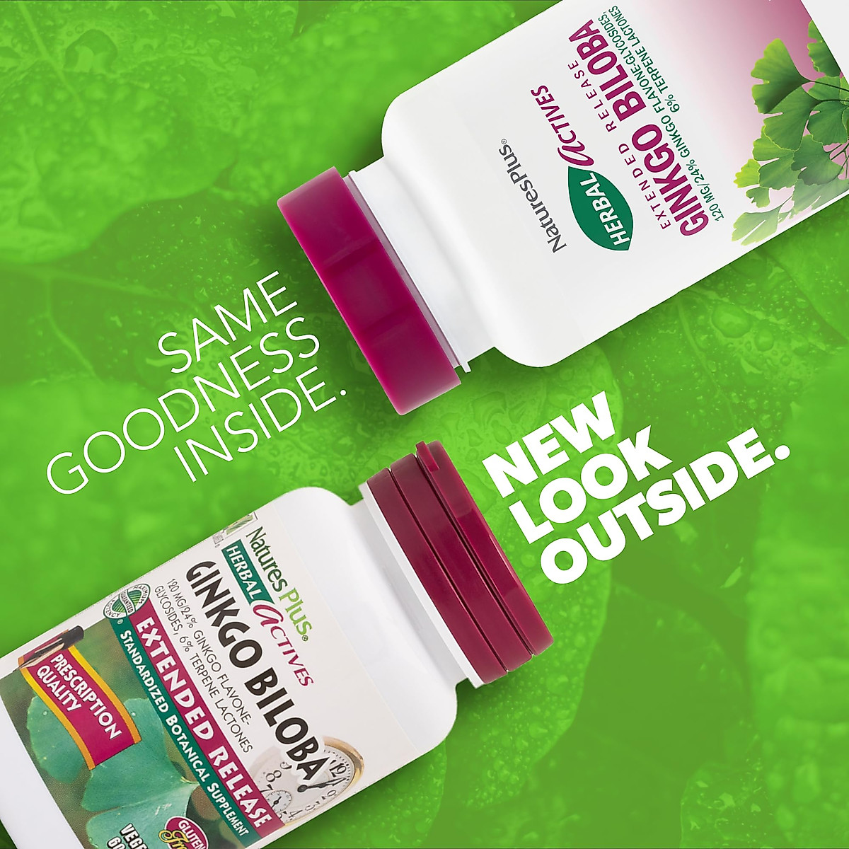 Natures Plus Herbal Actives Ginkgo Biloba, Extended Release - 120 mg, 60 Vegan Tablets - Vegetarian, Gluten-Free - 60 Servings