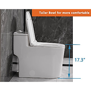 SouNor SN1080 One Piece Toilet 3-in Dual Flush 1.1/1.6 GPF Chair Right Seat Height Comfort Elongated U Shaped Bowl Soft Close UF Seat,White 12" Rough in