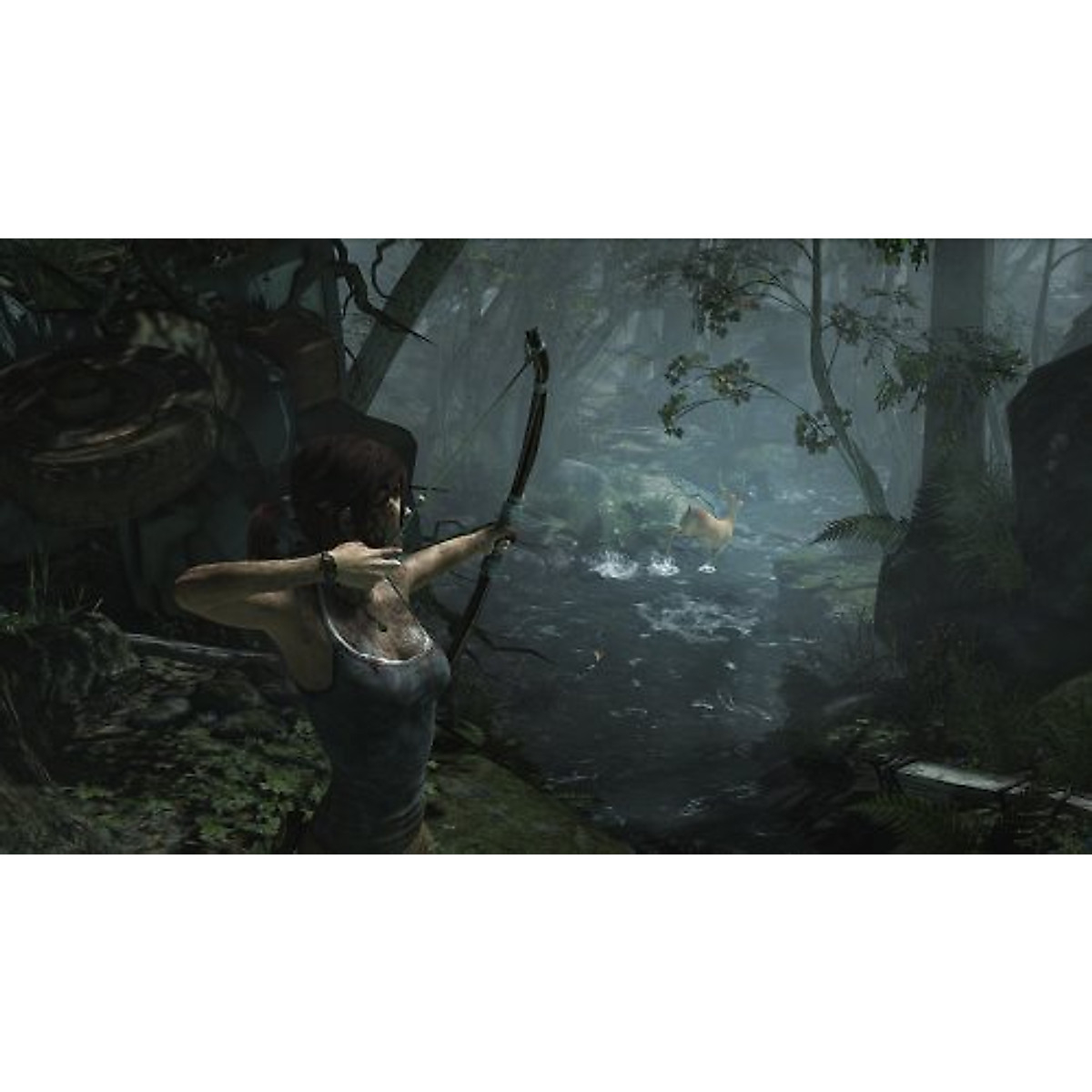 Tomb Raider