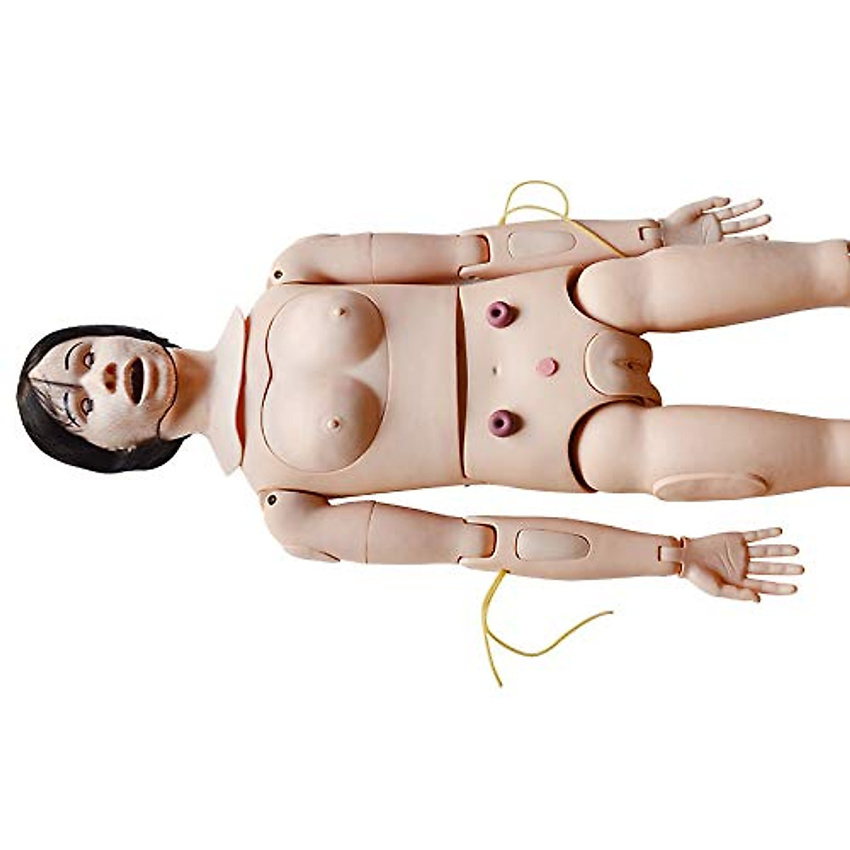 INTBUYING 2in1 Education Model Patient Care Manikin Advanced Multifunctional Training Dual Sex Mannequin, Patient Care Teaching Human Manikin(Man and Woman)