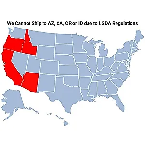 Brighter Blooms - Dwarf Granny Smith Apple Trees, 5-6 Ft. - Home-Grown Apples for Baking or Snacking - No Shipping to AZ, ID, OR, or CA