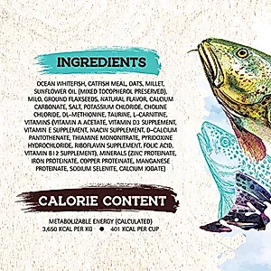 Inception® Dry Dog Food Fish Recipe – Complete and Balanced Dog Food – Meat First Legume Free Dry Dog Food – 27 lb. Bag