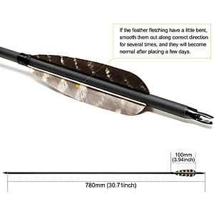 ARCHERY SHARLY 31Inch Carbon Targeting Practice Arrows Turkey Feather Fletching Arrows with Removable Tips for Recurve Traditional Long Bow (12 Pack)