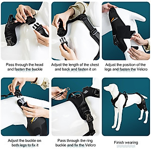 Dollephi Dog Knee Brace for torn acl hind leg with Adjustable Hinge Stabilizer, Dog leg brace Support for Cruciate Ligament Injury, Dog back brace for Osteoarthritis, Recovery After Surgery,et（L）