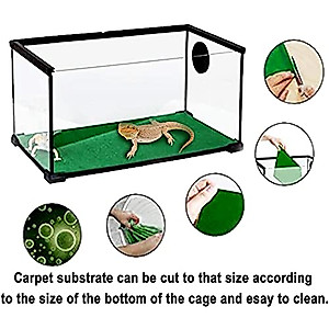 Hamiledyi Extra Large Reptile Mat 70.86 x 23.62 in Bearded Dragon Carpet Green Terrarium Liner Tank Supplies for Lizard Leopard Gecko Iguana Tortoise Snake Frog (2 Pack)