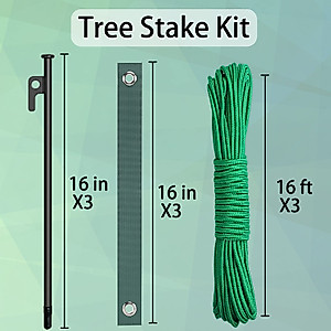 Tree Stakes Kit, Heavy Duty Tent Stake Tree Staking and Supports for Hurricane Protection - Garden Stakes Straightening Kits, Include 3 PCS Straps, 3Pcs Tree Stakes, 3Pcs Rope(16 in)