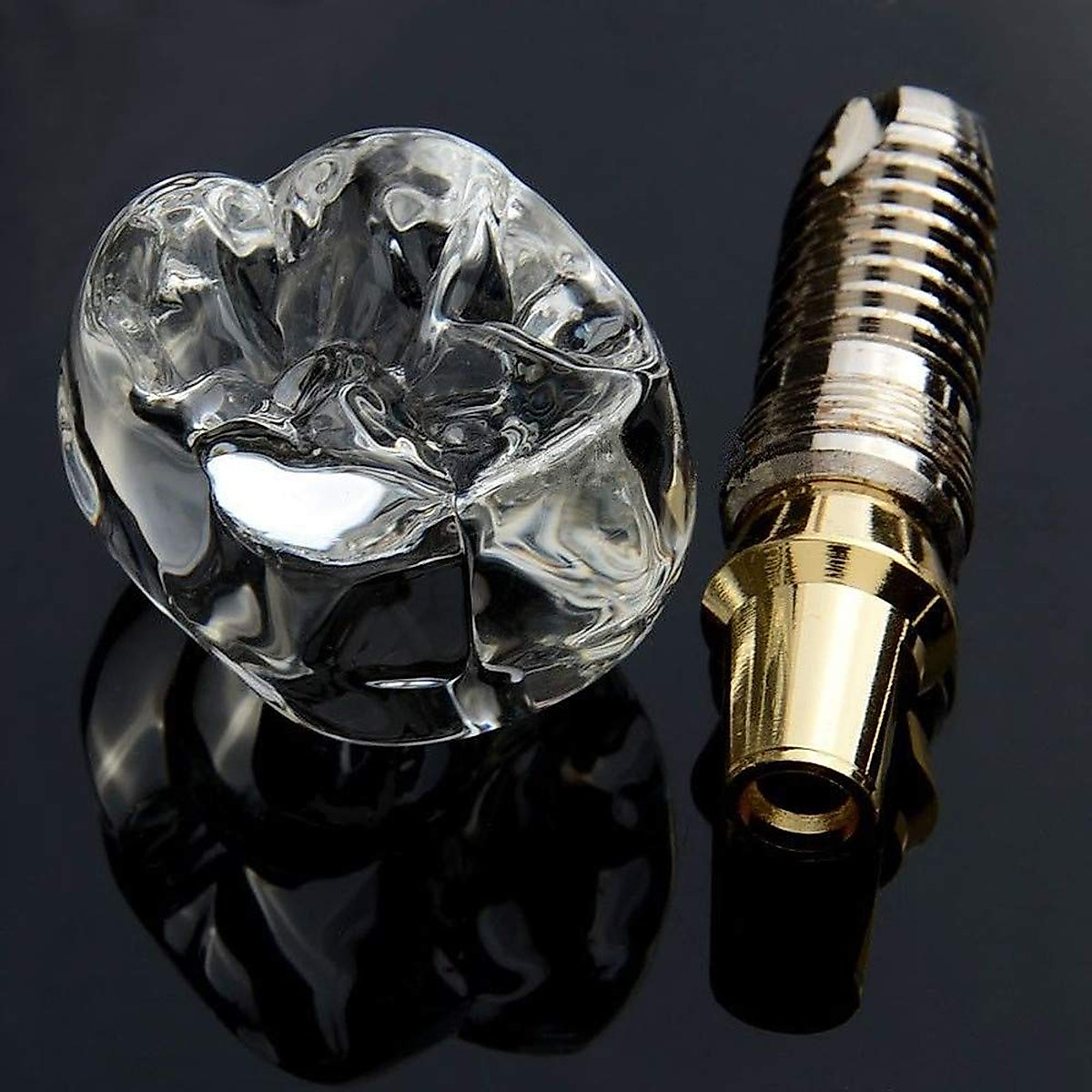 Dentistry Teeth Adult Model Dental Implant Crystal Model M2019-I