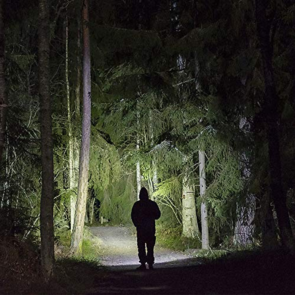 Feit Electric LED Tactical Flashlight - Aluminum Alloy - Zoomable Strike Bezel; Illuminate up to 1,000 feet - Adjustable Brightness 600 to 1700 Lumen | Requires 4-C Batteries