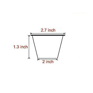 Royalty Essentials Standard Leopard Animal Print Cupcake Liners Liner Wrappers Leopard Baking Cups Wild One Toppers Wrappers Decorations Decor Papers 100 Count (Leopard)