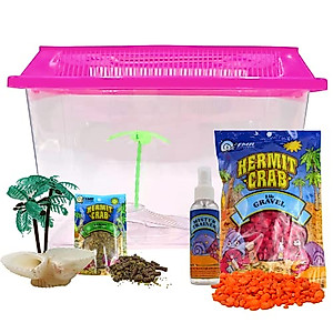 Reptile and Hermit Crab Supplies, Food Pouch, Habitat, Neon Gravel, Mister Trainer, and Seashell Palm Tree Accessory, All in one Starter Pack, 5 Items