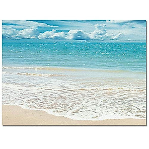 Gsypo Summer Indoor Modern Contemporary Area Rug, Tropical Ocean Beach Sea Water Ultra Soft Non-Shedding Carpet Floor Mats Stain Resistant Living Room Bedroom Area Rugs Washable 2'x3'
