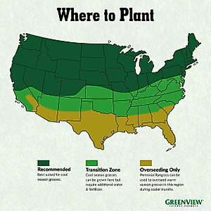 GreenView Fairway Formula Grass Seed Perennial Ryegrass Blend - 20 lb. Bag