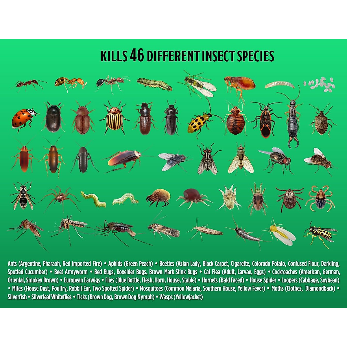 Grandpa Gus's Natural Advanced Pest Killer Concentrate, Plant-Based Actives Quick Kill Multiple Insect Species, Indoor & Outdoor Use, Light Scent, 3.7 fl oz (Pack of 2)